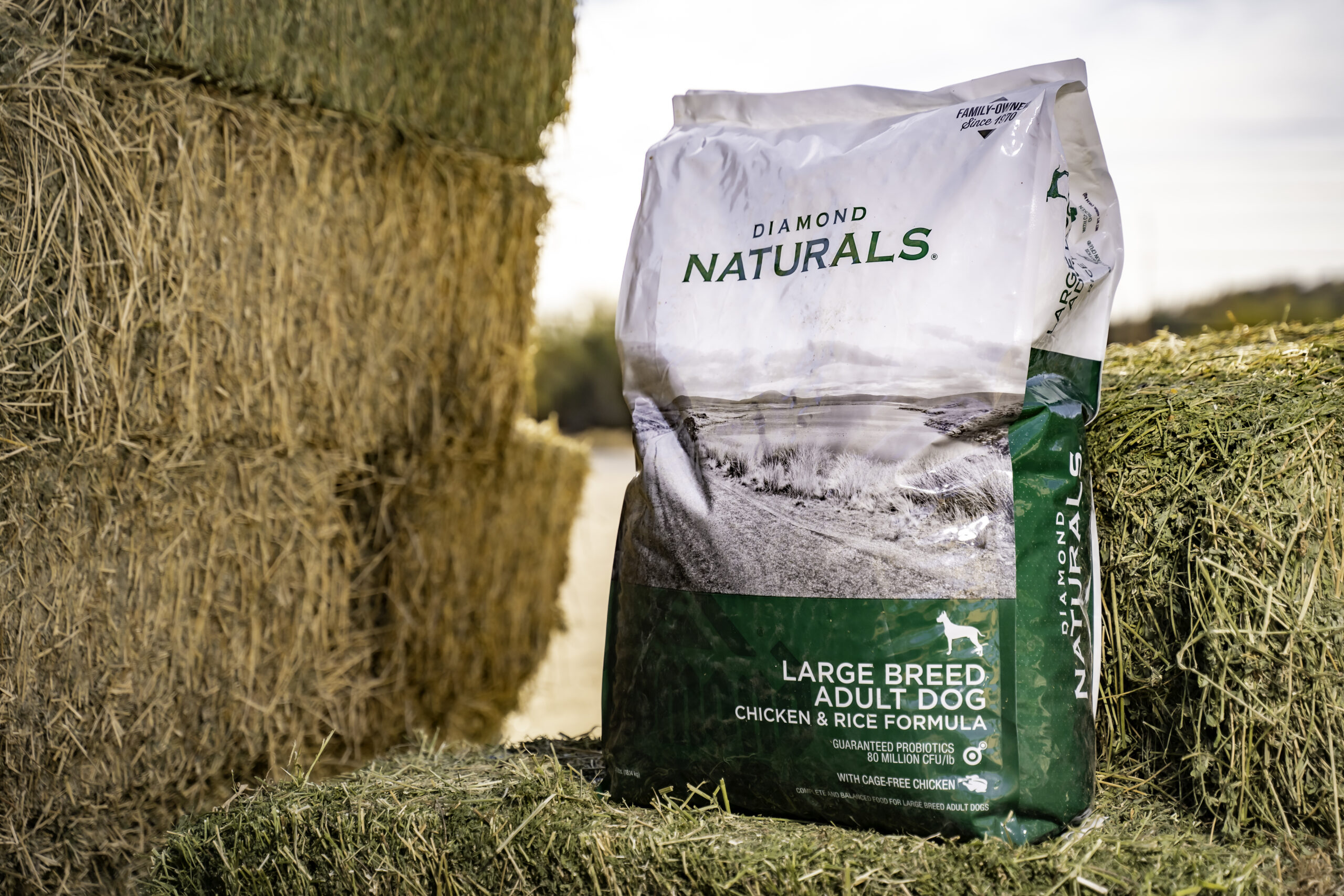 Diamond Large Breed Chicken & Rice - Three Bars