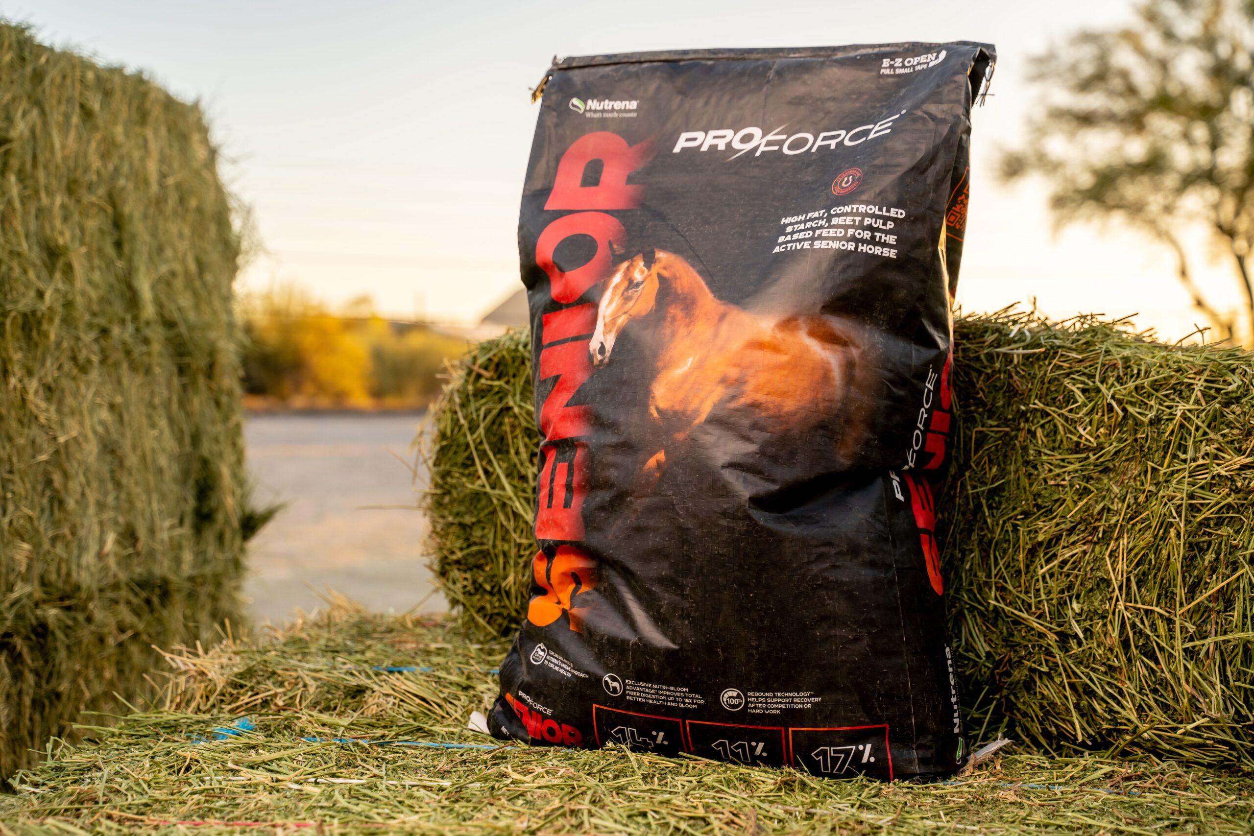 Proforce Senior - Three Bars