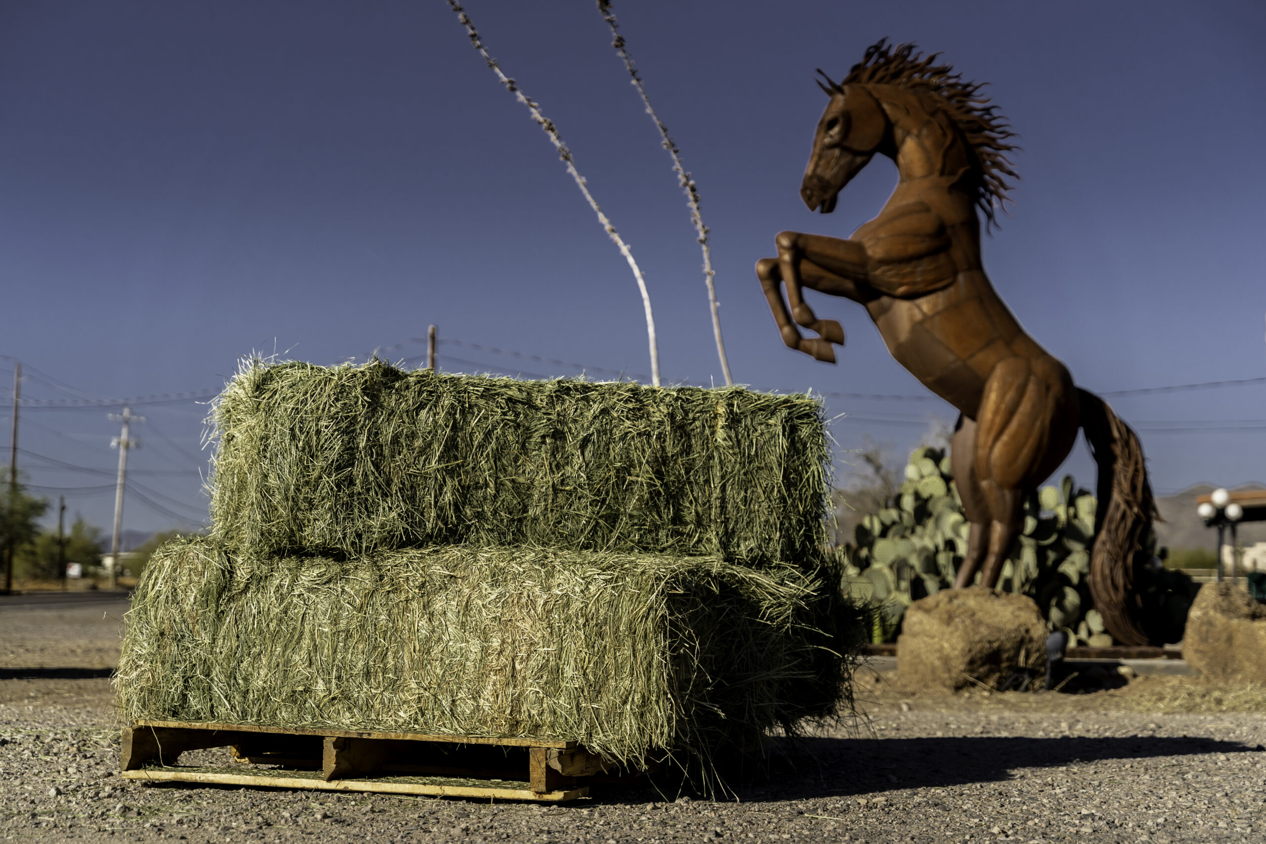 Bermuda Hay - Three Bars