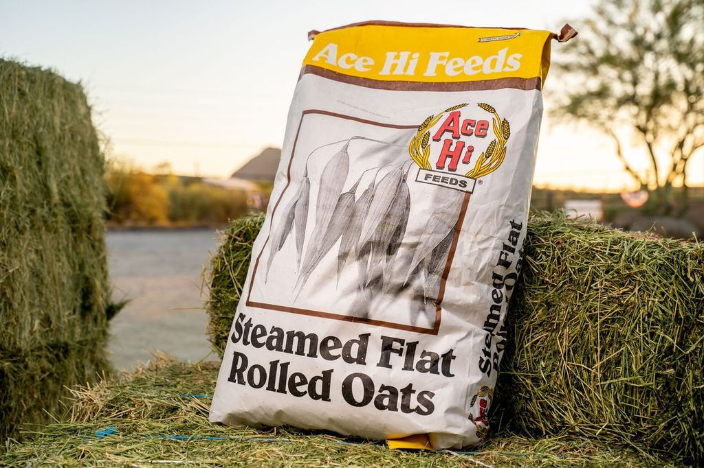 Ace Hi Steamed Flat Rolled Oats - Three Bars