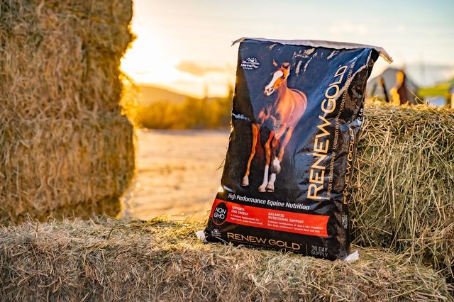 Renew Gold Non-GMO Horse Feed - Three Bars