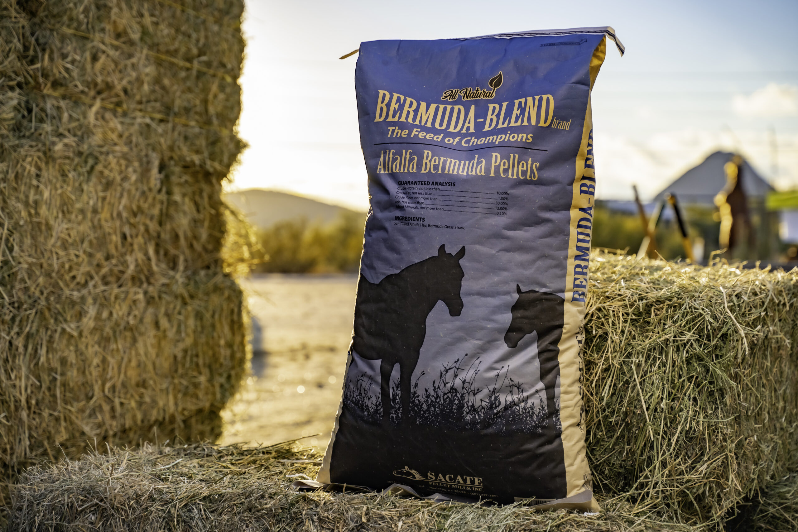 Sacate Bermuda Blend - Three Bars