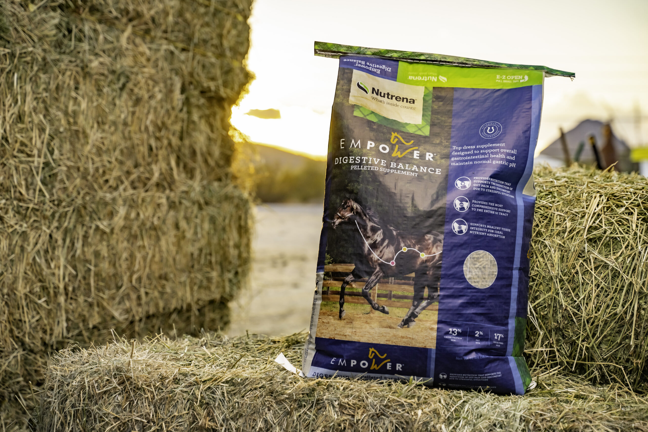 Nutrena Empower Digestive Balance - Three Bars