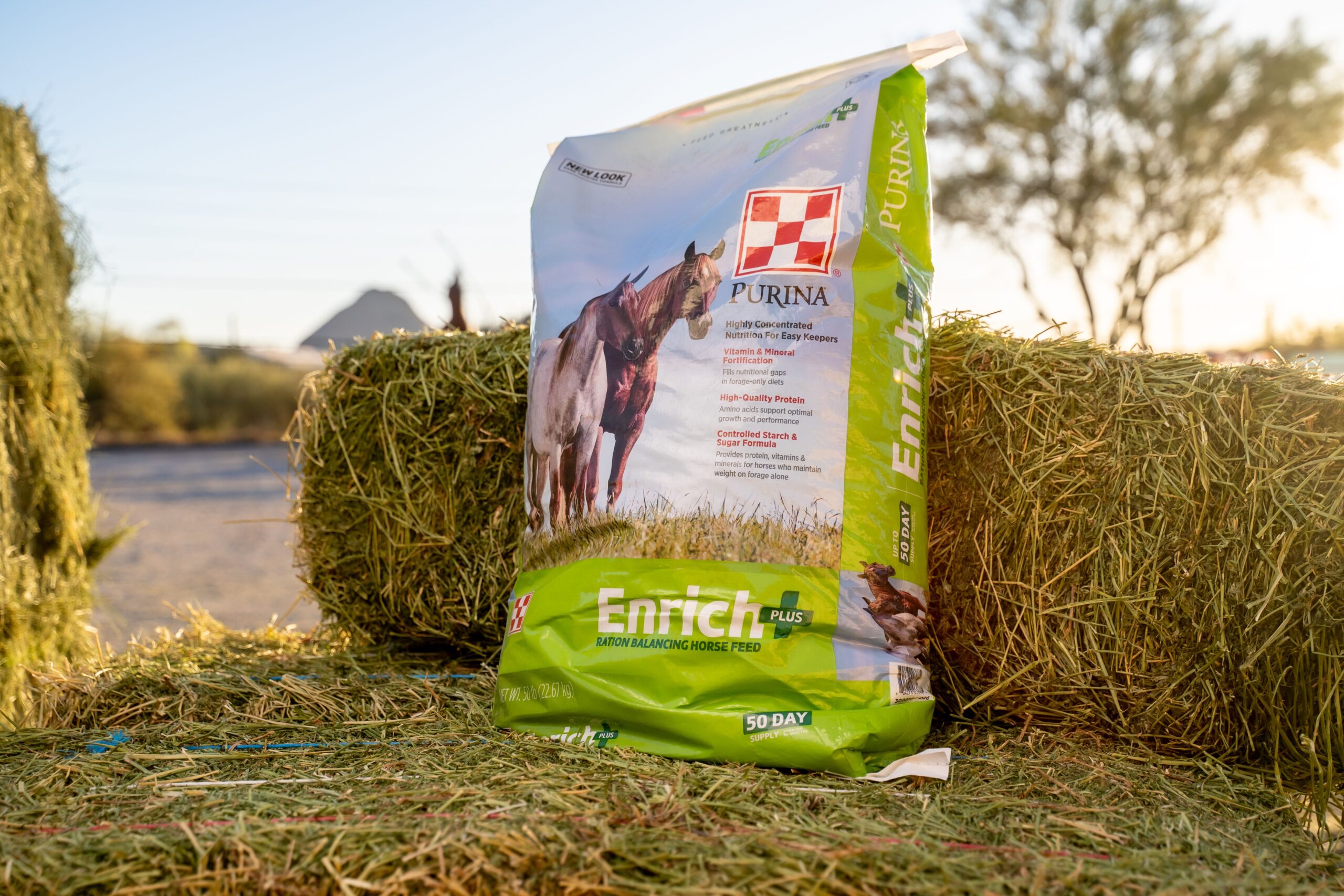 Purina Enrich Plus Ration Balancing Horse Feed - Three Bars