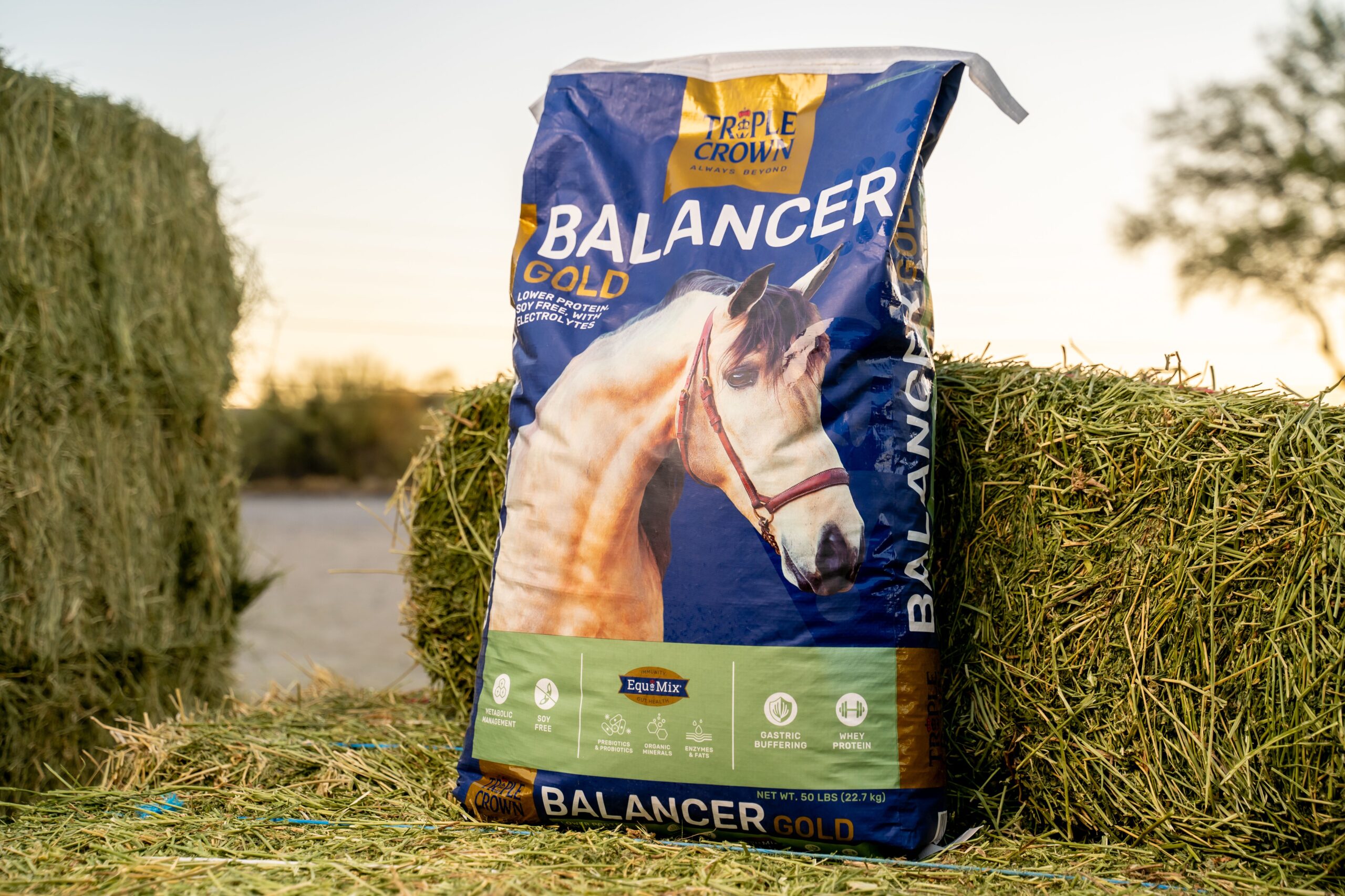 Triple Crown Balancer Gold - Three Bars