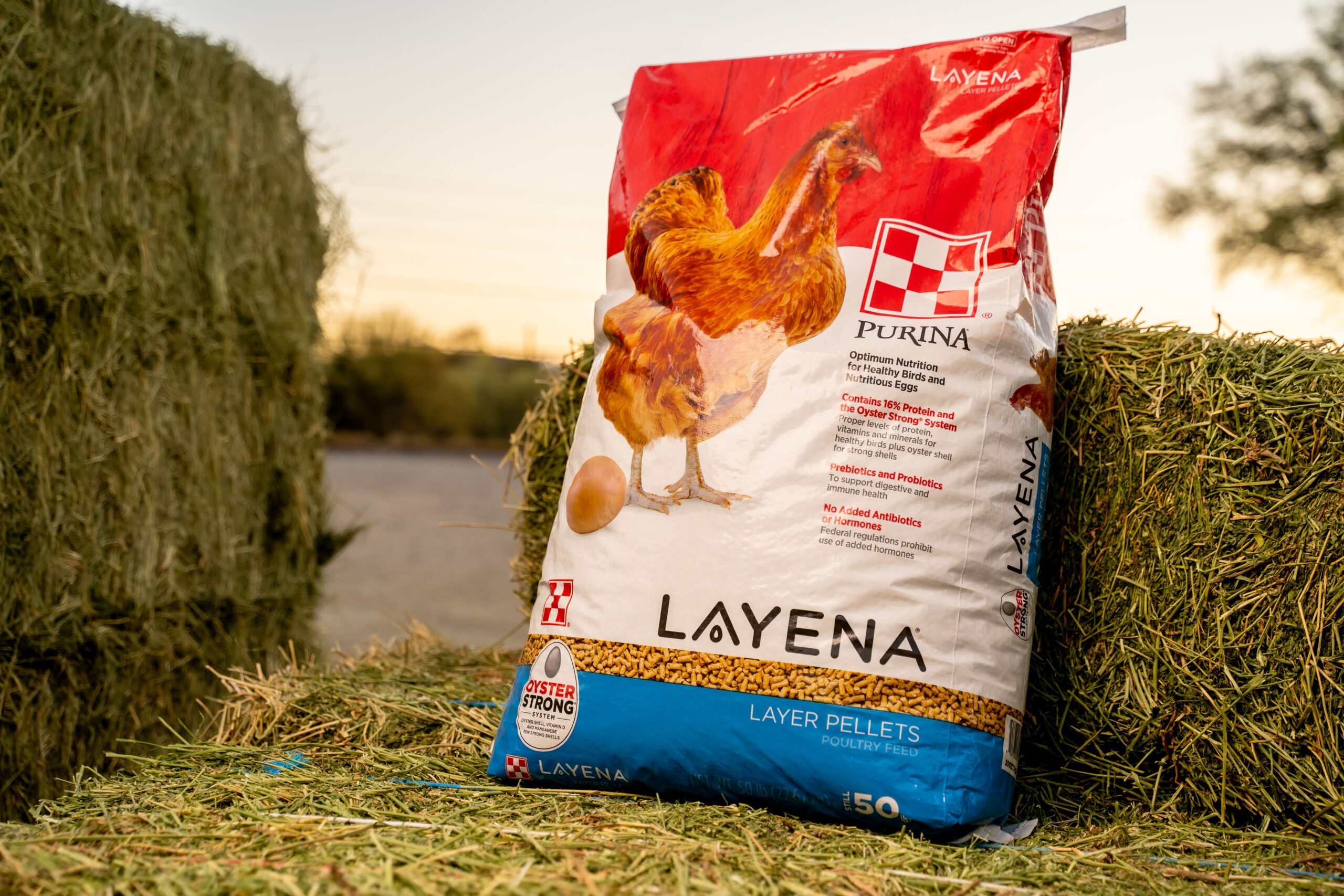 Purina Layena Pellets Chicken Feed - Three Bars