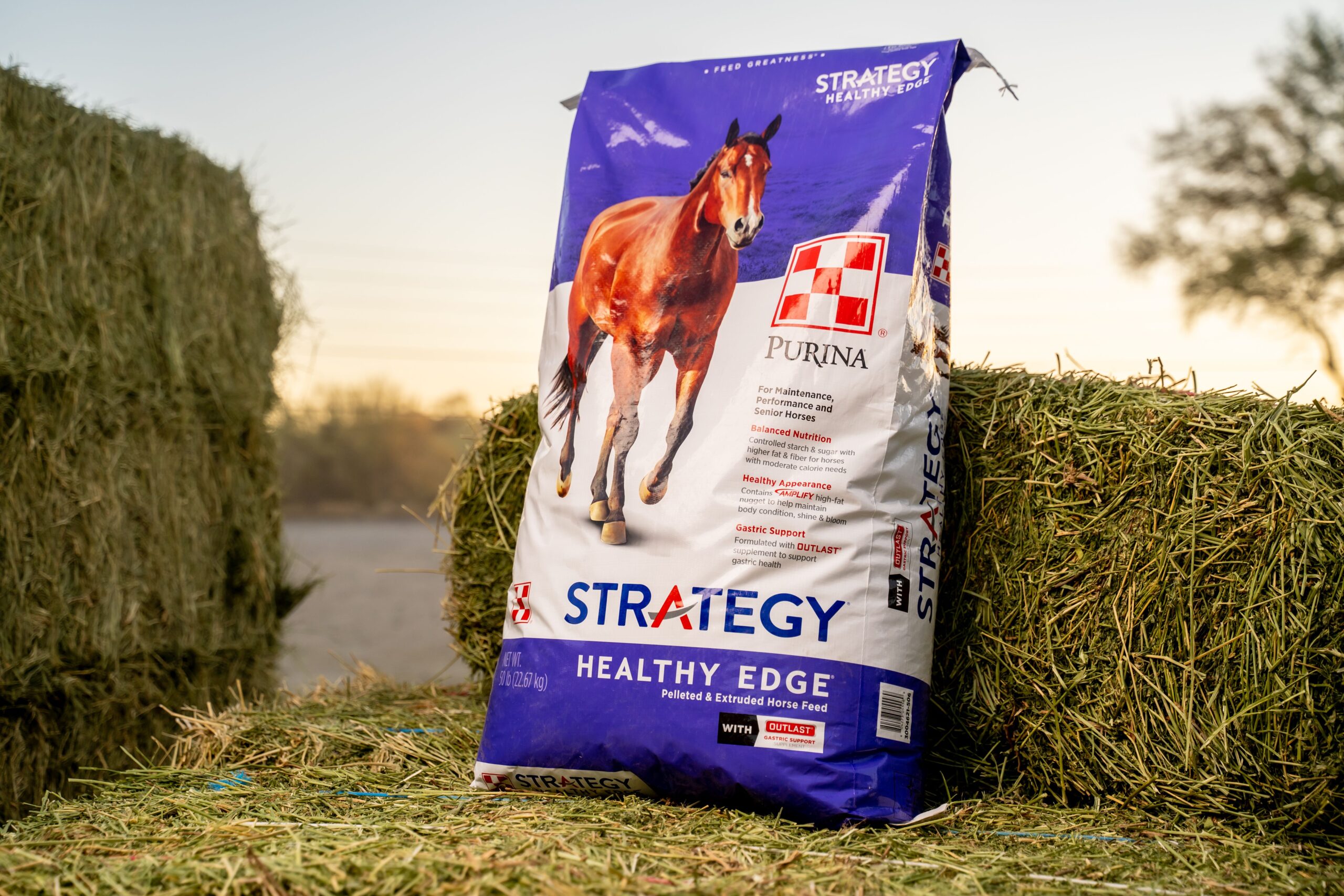 Purina Strategy Healthy Edge Horse Feed - Three Bars